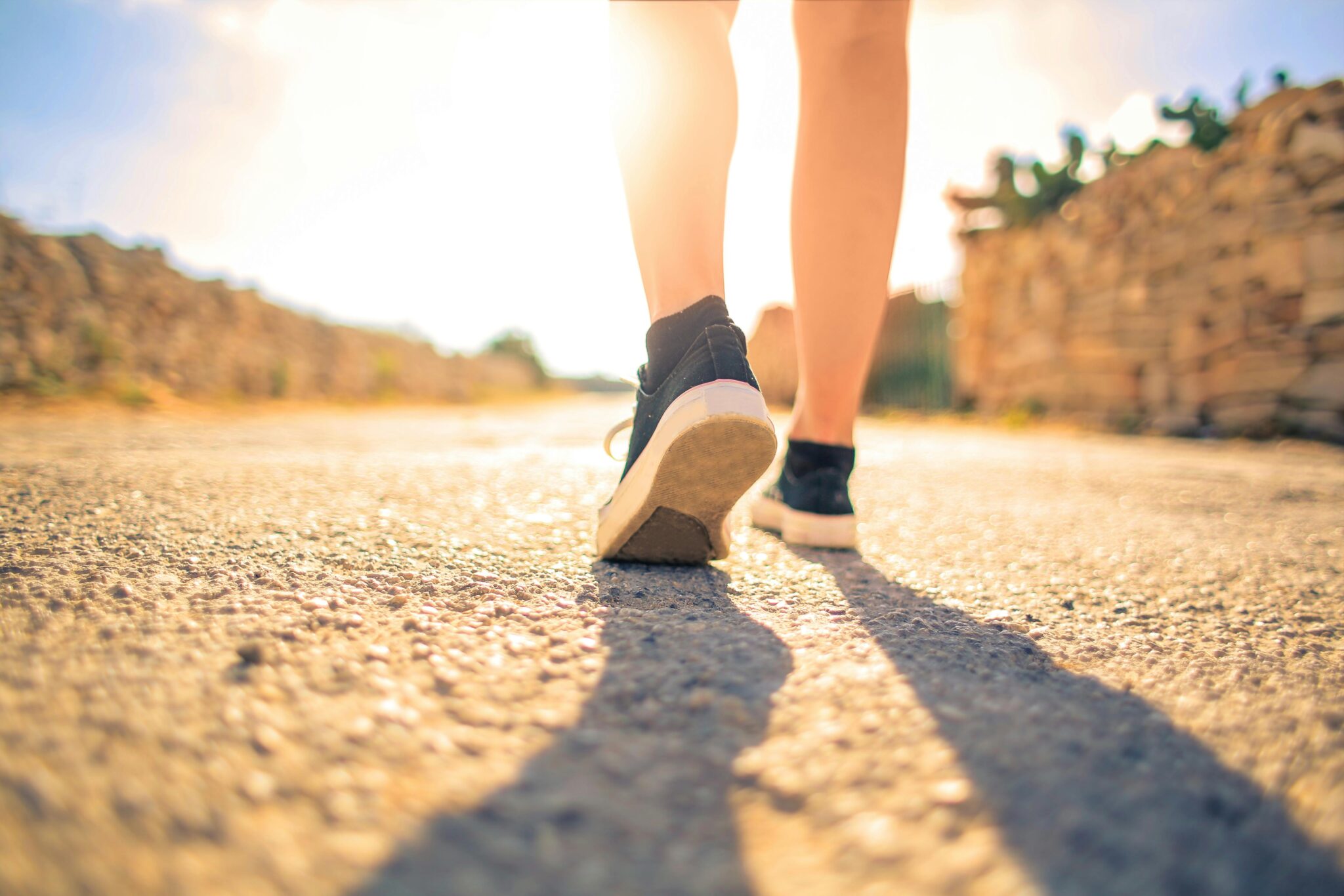 Don't forget to sign up for Mega Miles - CSPA